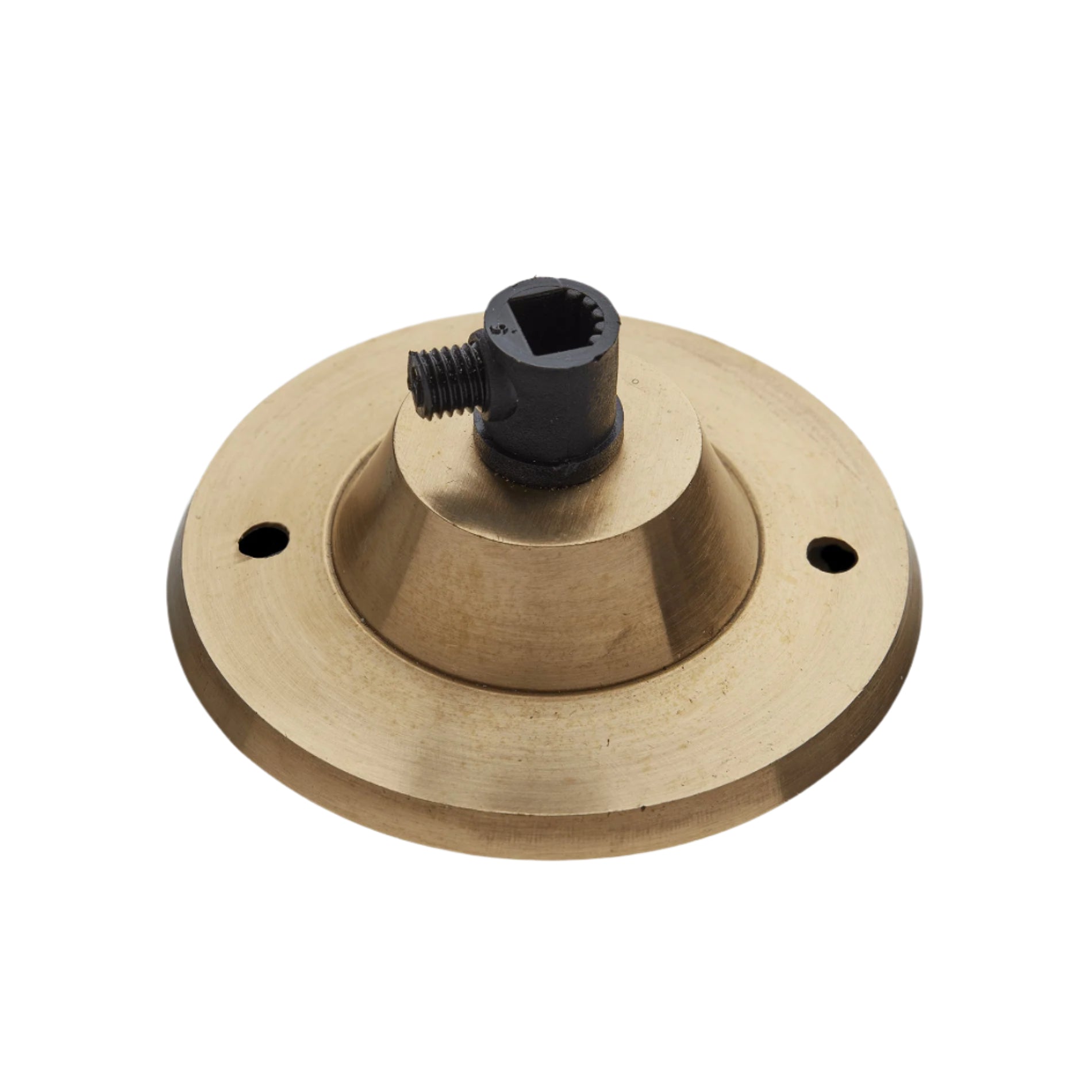 Edison Ceiling Rose - 1 Outlet - Brass - Industville